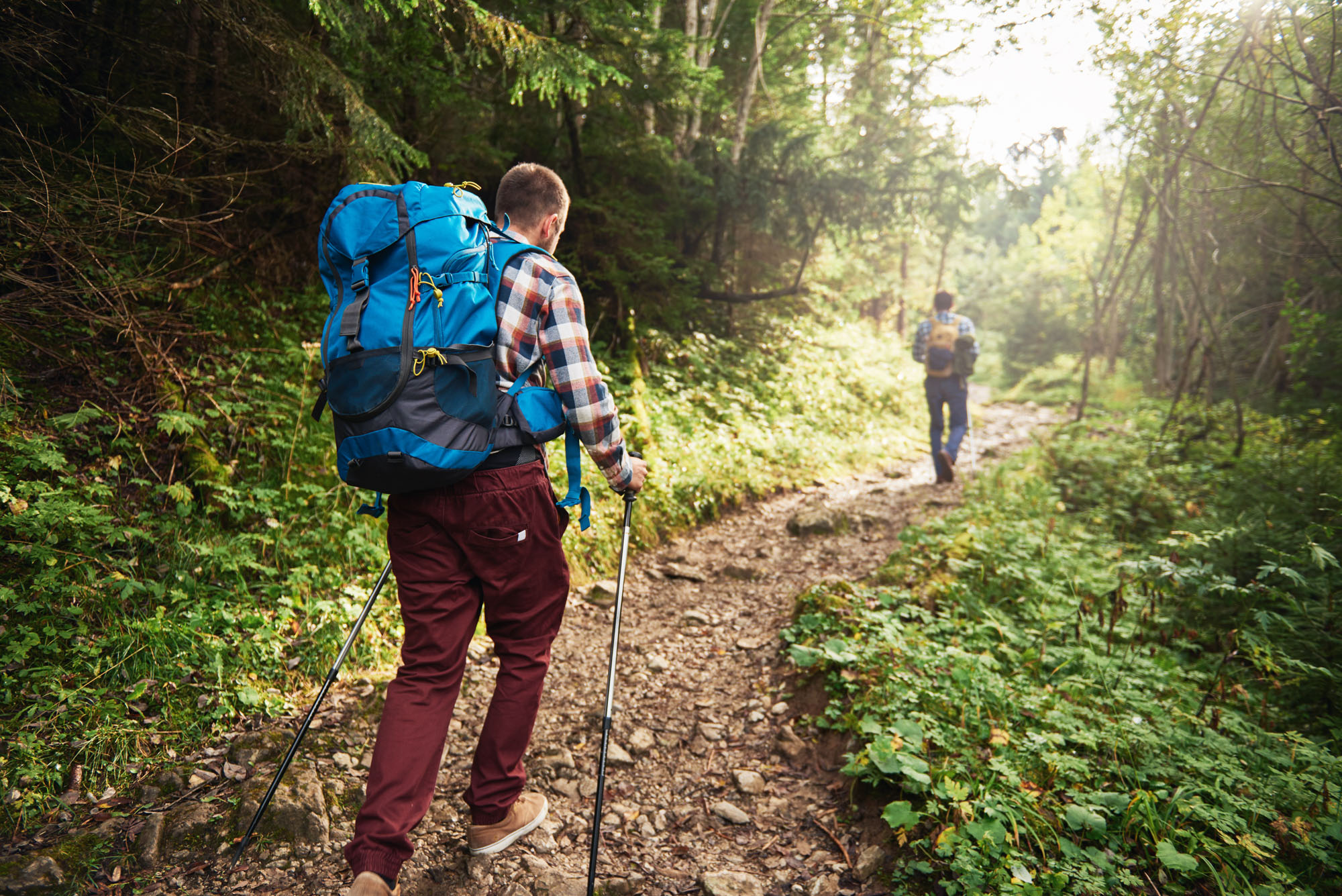 HipStar Trailers - The Ultimate Hands-Free Travel Cart Solution